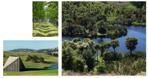Home - Beachlands South